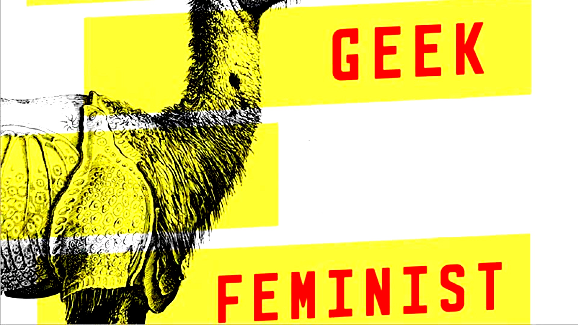 GeekFeministRevolutionRev1920 - Random Nerds